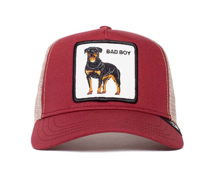 Goorin Bros Trucker Cap - The Baddest Boy – Teddy Sinclair